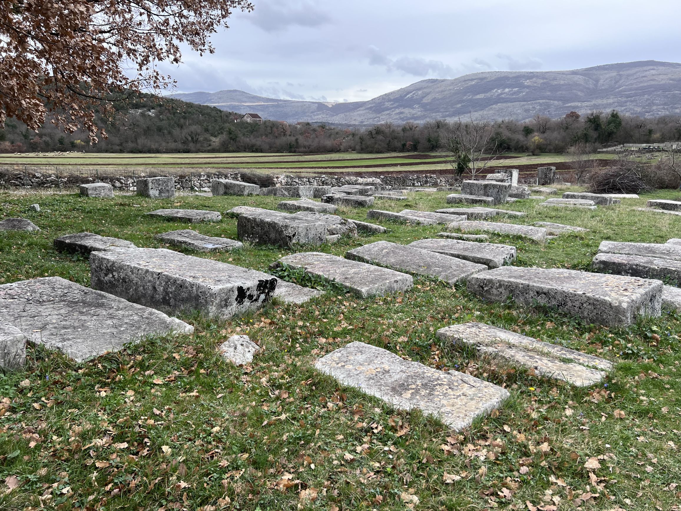 Stećci, kameni spavači